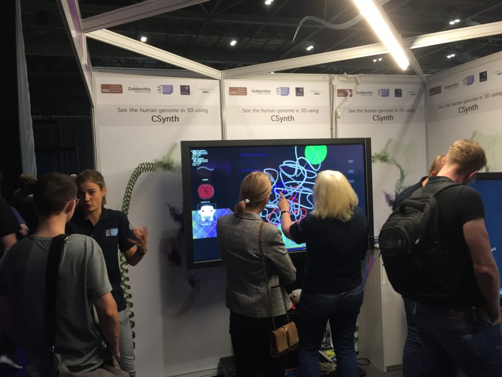 DNA structure – CSynth